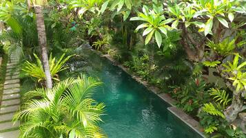 Piscina cercada por plantas tropicais exuberantes.