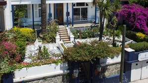 Um edifício branco de dois andares com telhado azul e um pequeno jardim frontal com palmeiras e plantas floridas.