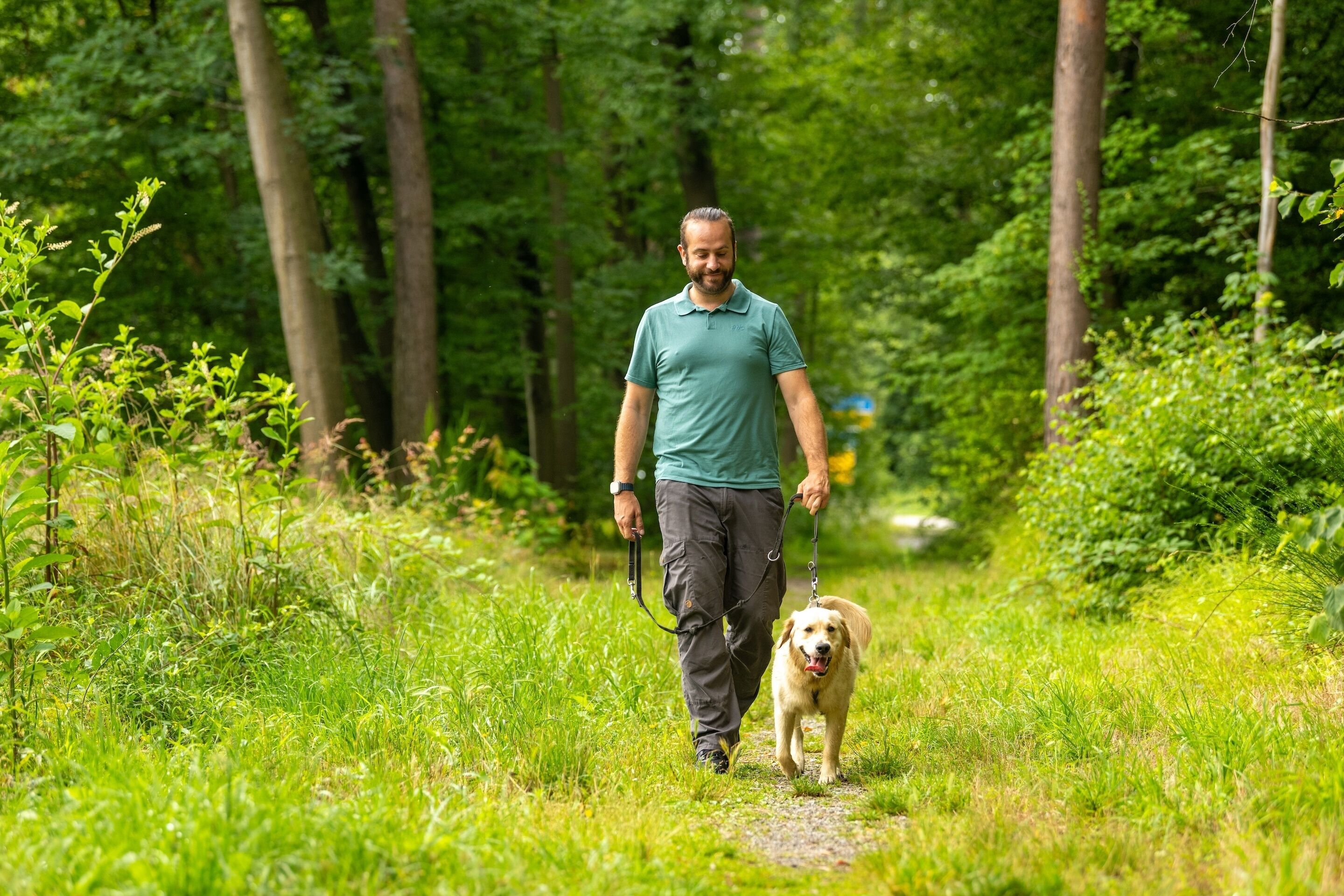 Uma pessoa passeando com um cão por um caminho gramado, cercado por árvores.
