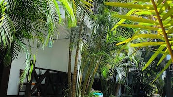 Uma área de piscina com um caminho de azulejos, rodeada por vegetação exuberante e palmeiras.