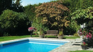 Piscina com borda de pedra, cercada por vasos de plantas e um banco de madeira.