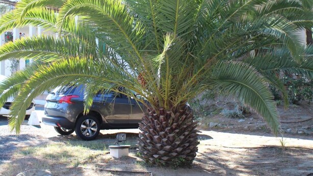 Terrenos do alojamento