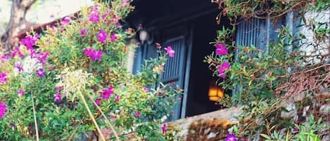 Bungalow Superior | Vista do quarto