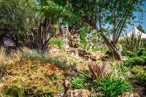Jardim