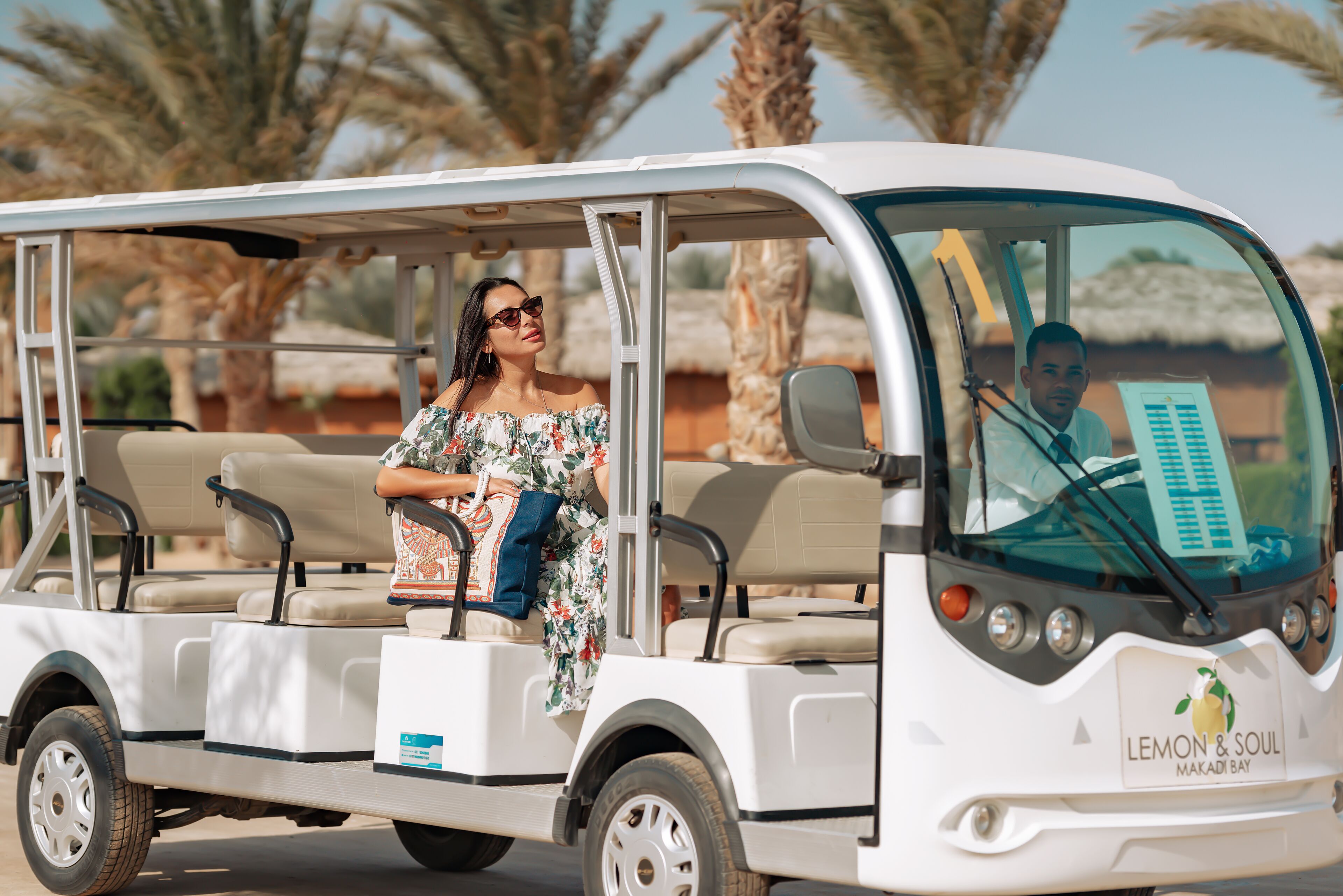 Um carrinho de golfe com uma placa que diz 'LEMON & SOUL MAKADI BAY' e uma pessoa sentada lá dentro.