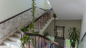Escadaria com parede de pedra, corrimão de madeira e plantas em vasos.