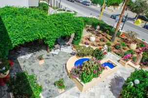 Um jardim no terraço com área de estar, piscina e diversas plantas e flores.