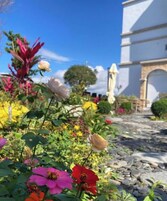 Um jardim com diversas flores e um caminho que leva a um edifício.