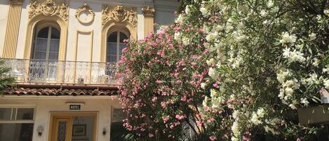 Terraço/pátio interior