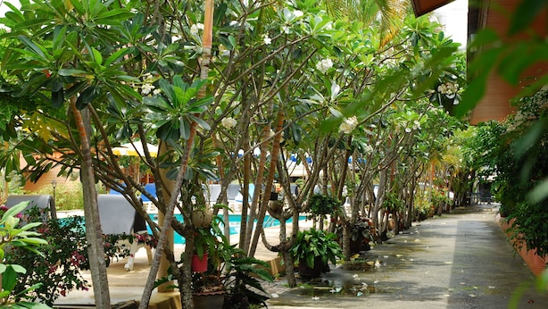 Um caminho bordeado por árvores e plantas em vasos, que leva a um edifício com área coberta.