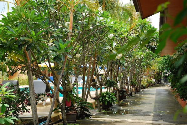 Área da propriedade