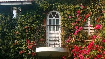 Edifício com janela cercado por vegetação exuberante e vibrantes flores cor-de-rosa.