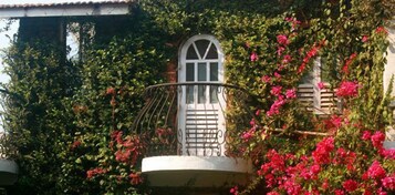 Edifício com janela cercado por vegetação exuberante e vibrantes flores cor-de-rosa.