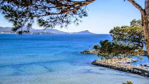 Vista costeira com águas azul-claras, uma linha costeira rochosa e uma palmeira.