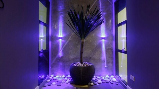 Um corredor estreito com uma planta em vaso no centro, paredes de pedra e iluminação roxa.