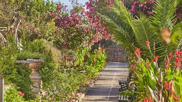 Jardim