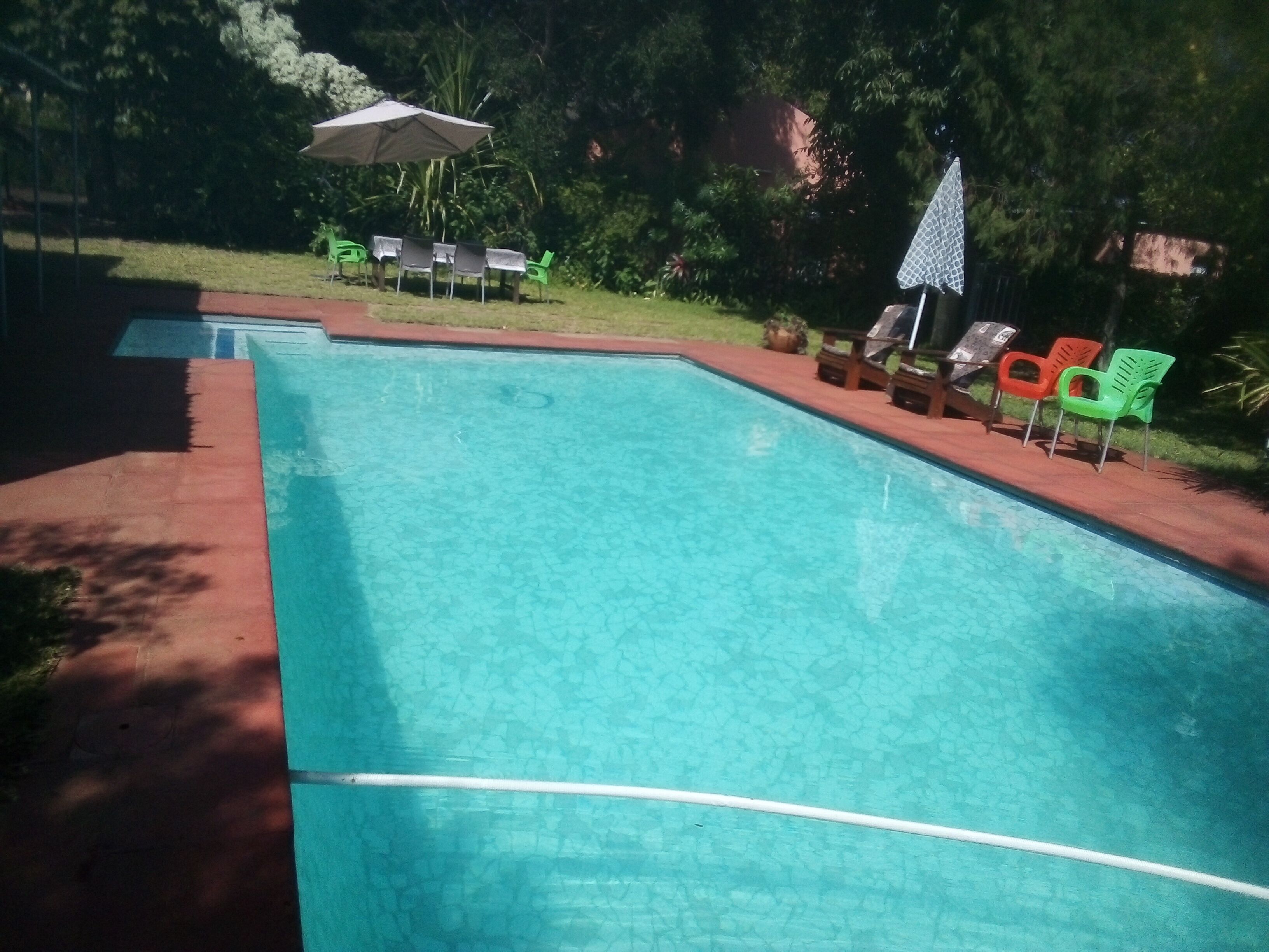Piscina com água cristalina, cercada por cadeiras e guarda-sóis verdes, e uma área gramada com árvores ao fundo.