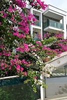 Jardim