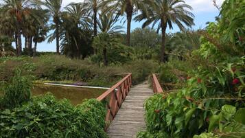 Área da propriedade