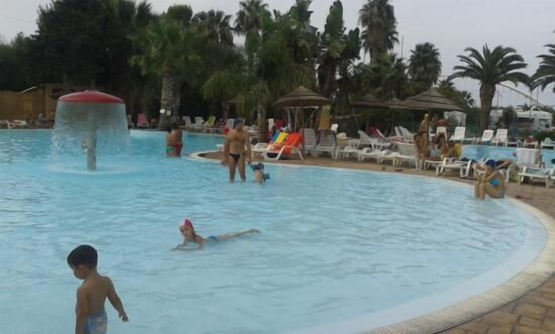Piscina com pessoas aproveitando a água, cercada por palmeiras e cadeiras de descanso.
