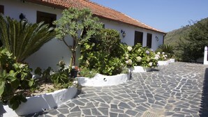 Terraço/pátio interior