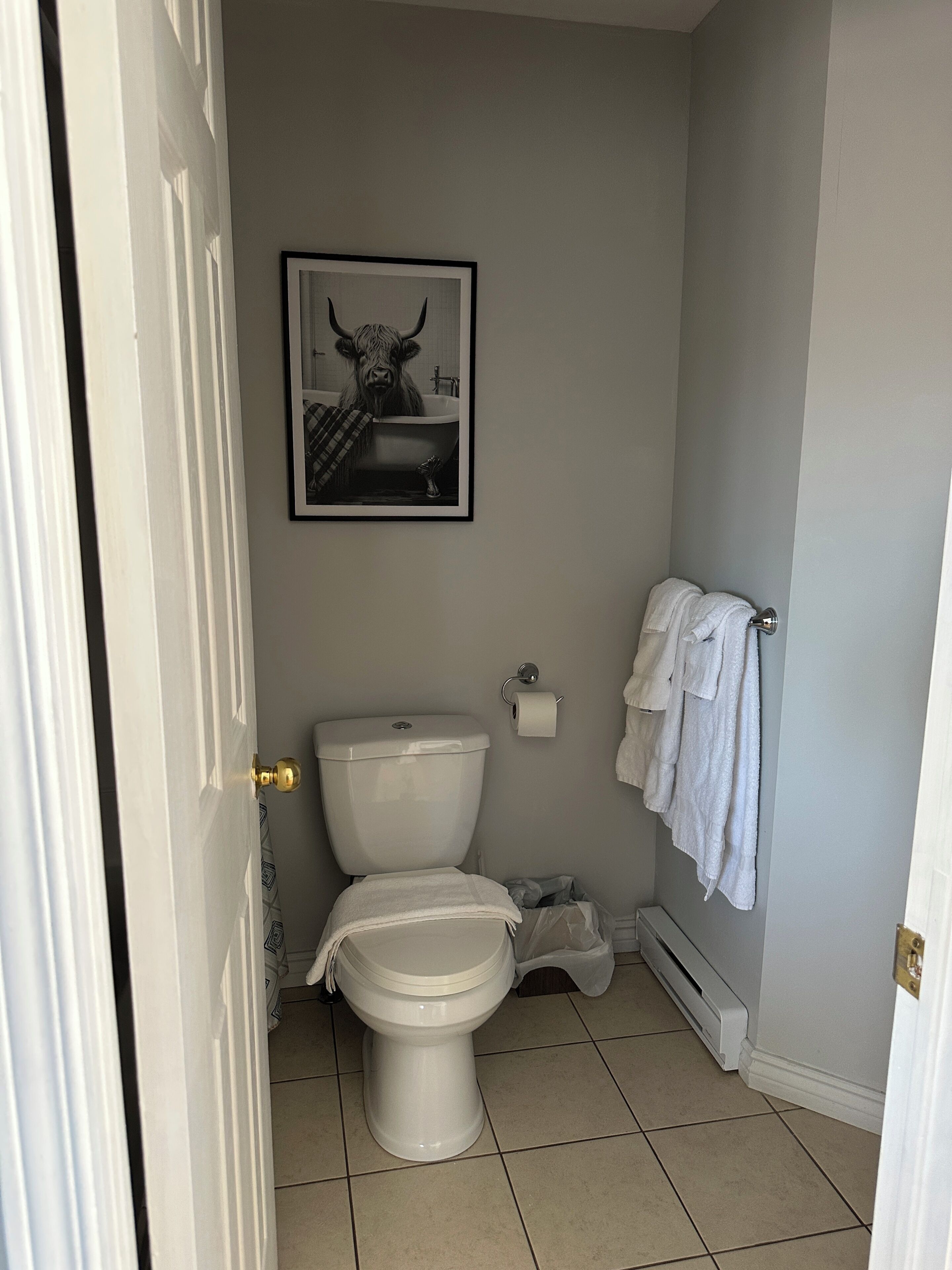 Casa de banho com sanita, rolo de papel higiénico, toalheiro com toalhas e um quadro na parede.
