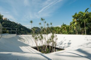 Pista de skate com rampa de concreto e uma pequena área de escoamento, cercada por palmeiras e vegetação.