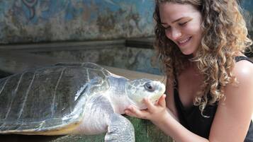 Uma pessoa interagindo com uma tartaruga marinha.