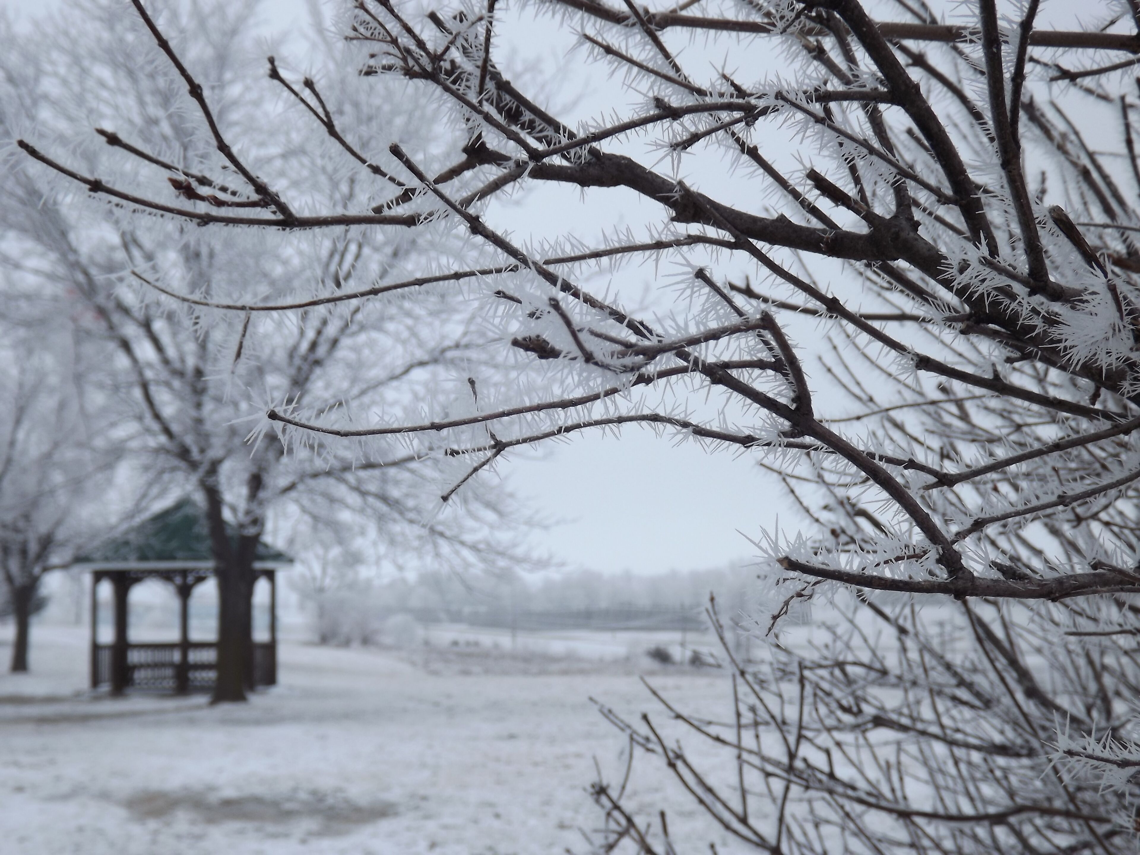 Um coreto num parque coberto de neve, com árvores sem folhas.