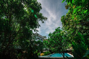 Jardim