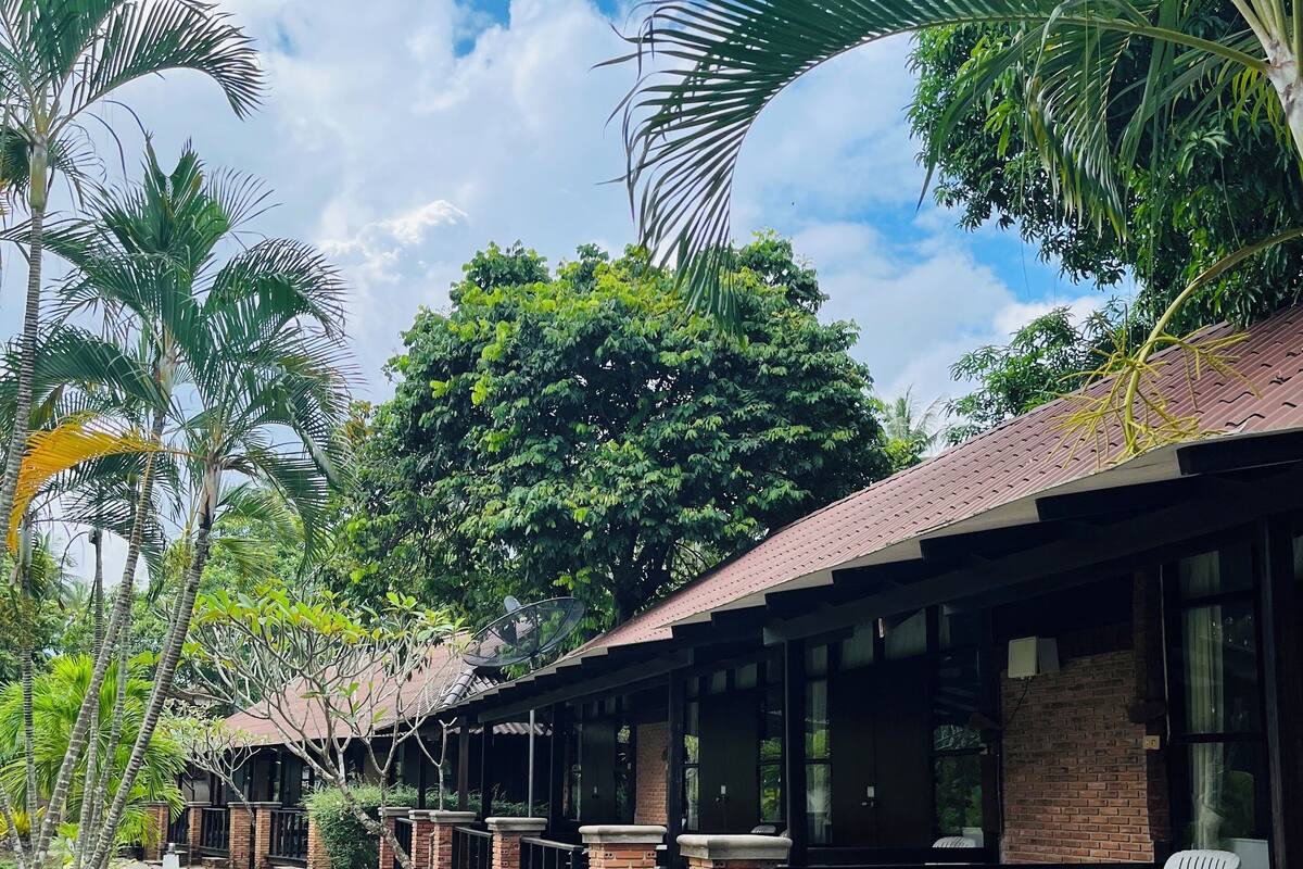 Fileira de edifícios de tijolo com galeria coberta, cercada por vegetação exuberante e palmeiras.