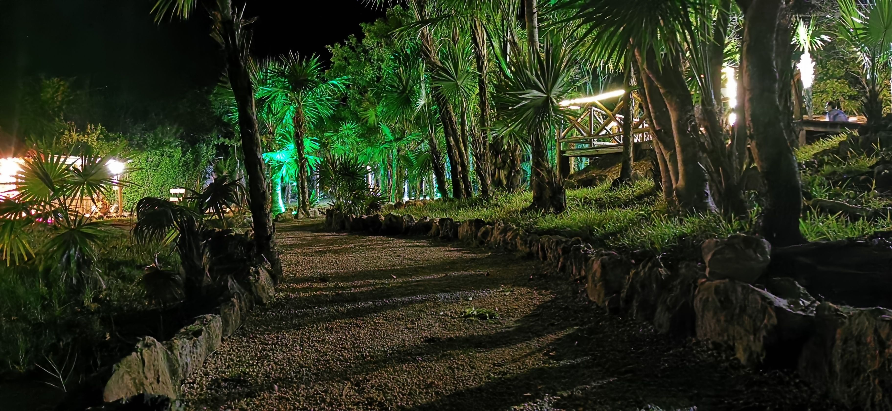 Jardim