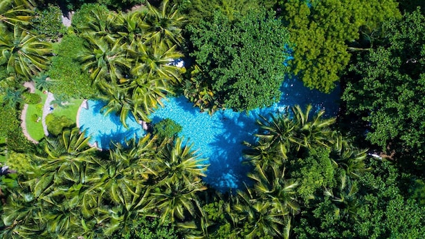 Vista aérea de um resort tropical com uma grande piscina rodeada por palmeiras densas e vegetação exuberante.