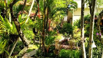 Deluxe Garden | Vista para o jardim