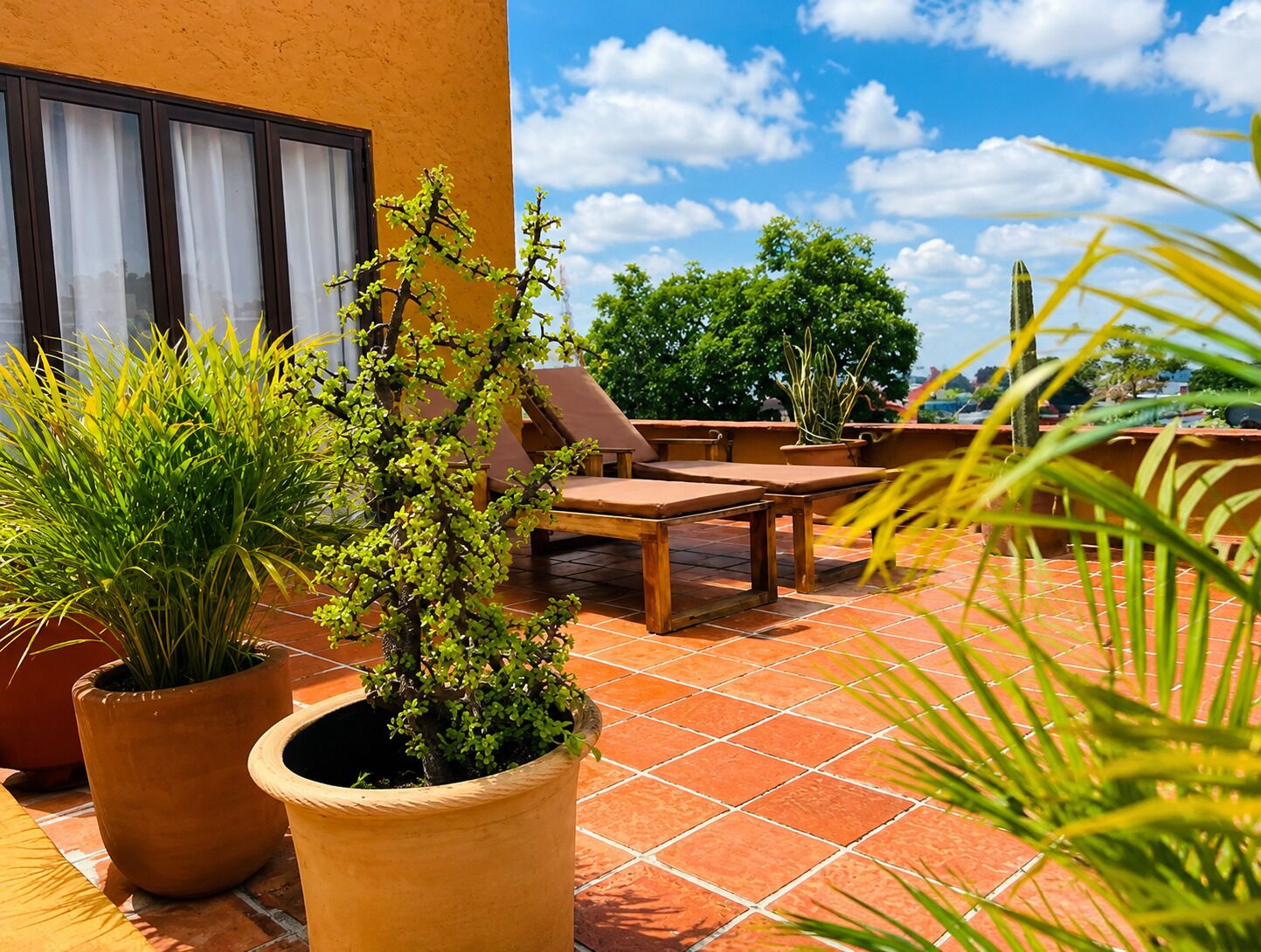 Apartamento Júnior, 1 cama king-size, kitchenette, vista para a montanha | Terraço/pátio interior