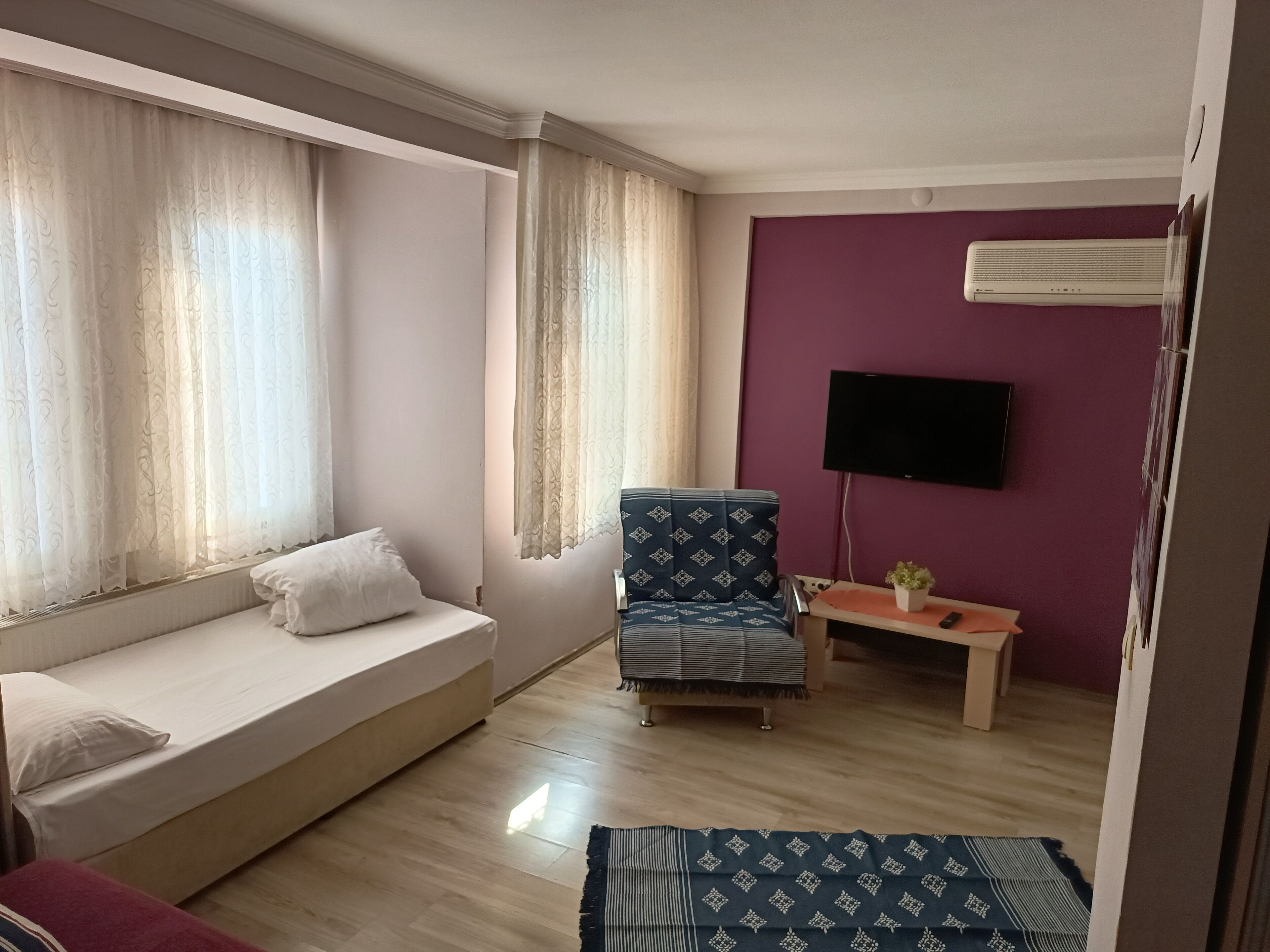 Quarto com sofá-cama, poltrona estampada, mesa pequena com uma planta e TV fixada na parede.