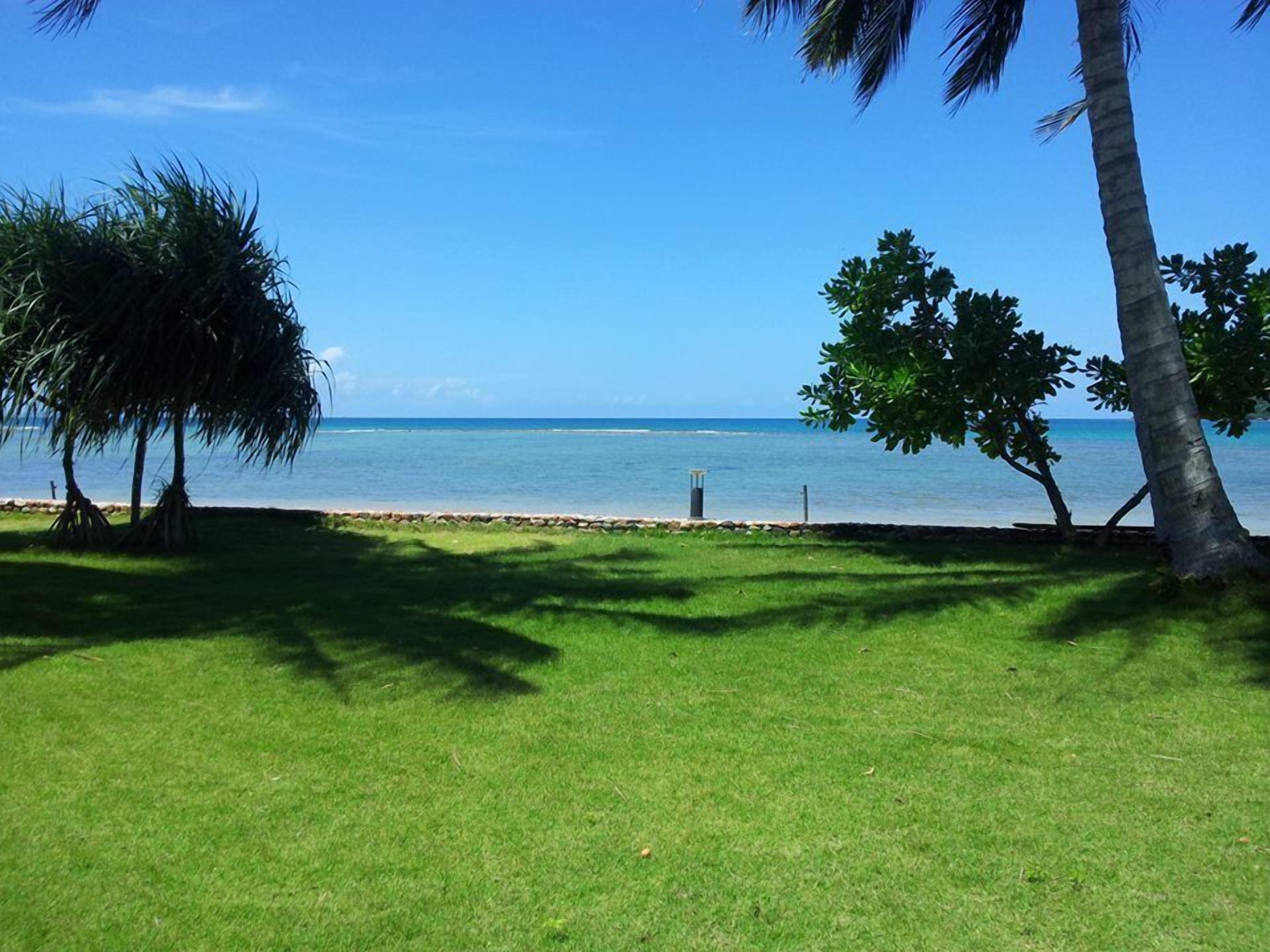 Uma área gramada com palmeiras e vista para o oceano.
