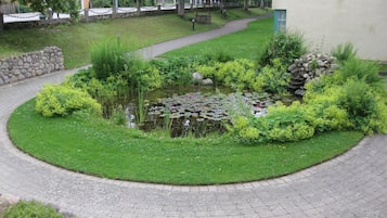 Jardim