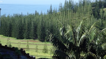 Caminhada