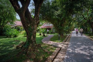 Uma passagem pavimentada bordeada por árvores e vegetação, que leva a um edifício com telhado vermelho.