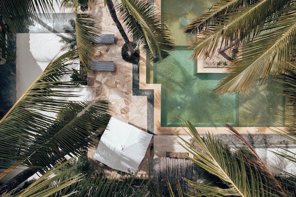 Área de piscina no terraço, com palmeiras, um caminho de pedra e um espaço para sentar.