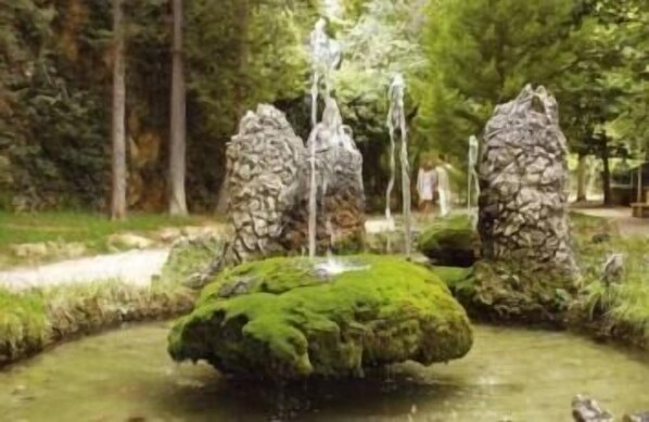 Um jardim naturalístico com um pequeno lago, pedras cobertas de musgo e um caminho de madeira.