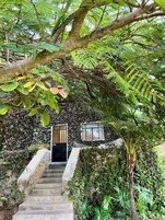 Escadaria de pedra que leva a uma porta com janela, cercada por vegetação verde exuberante.