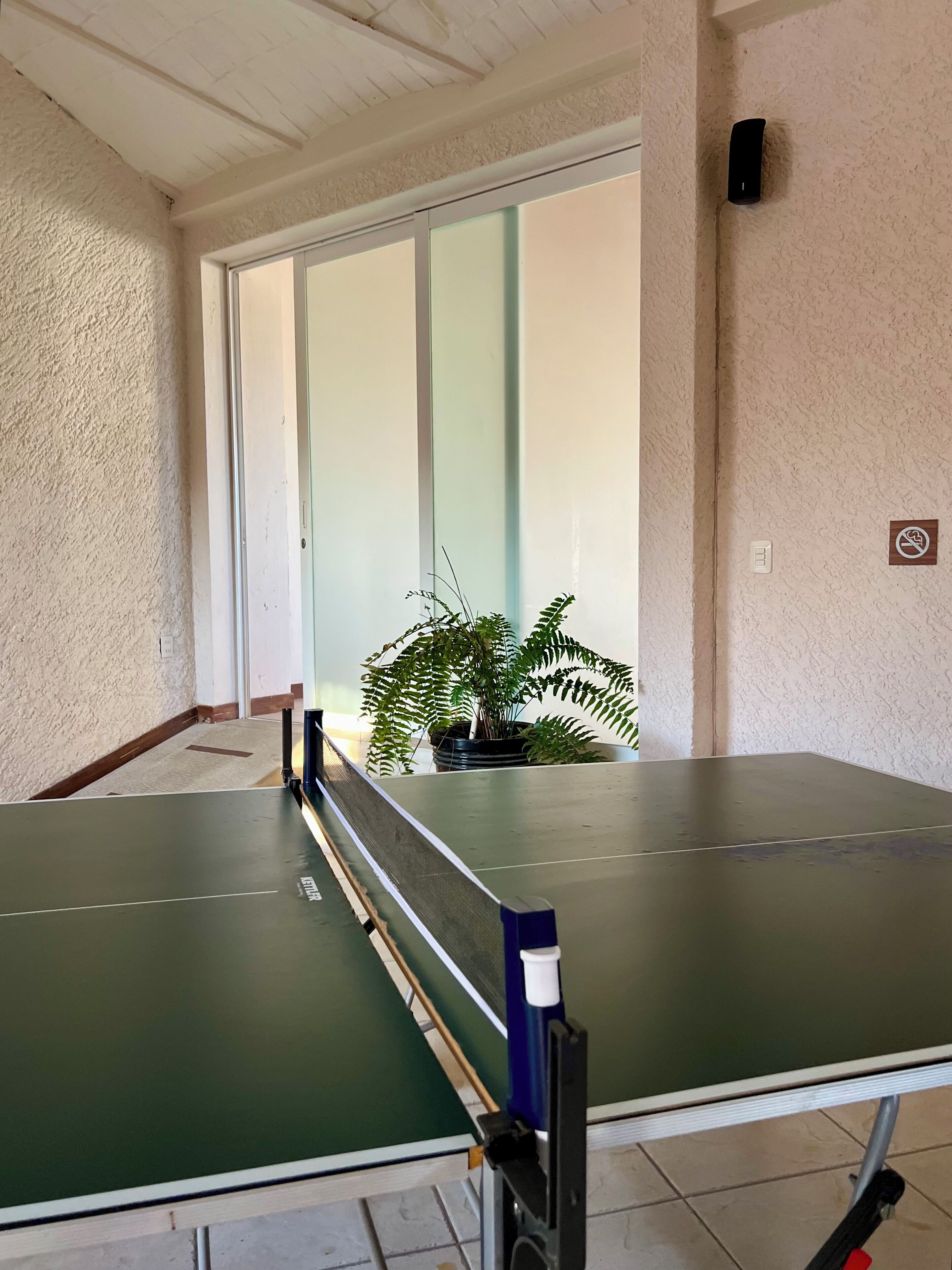Uma mesa de pingue-pongue em um quarto com parede texturizada, um vaso de planta e uma porta de vidro deslizante que dá para uma varanda.