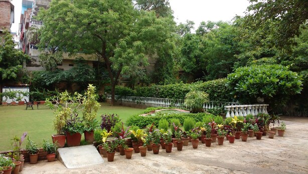 Um jardim com diversos vasos de plantas, um pequeno gramado e um caminho de concreto.