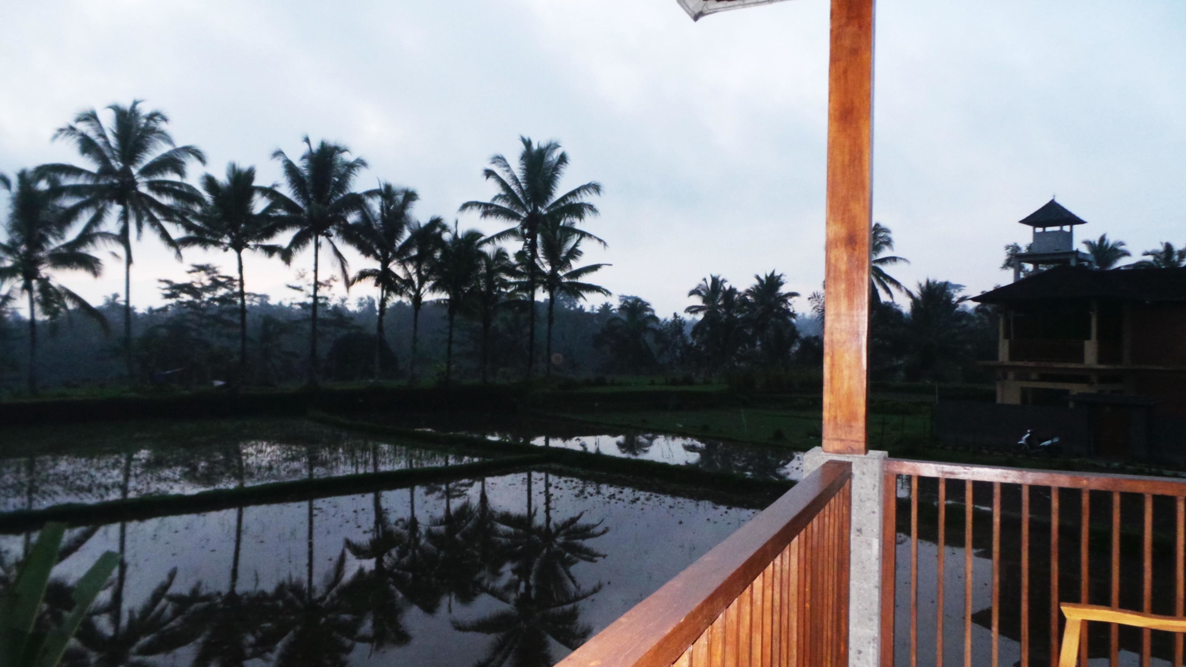 Um deck de madeira com guarda-corpo, com vista para um lago e palmeiras ao fundo.