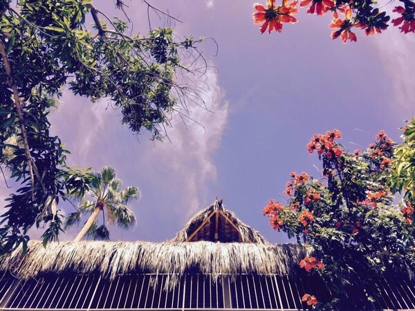 Hotel Posada Señor Mañana - San José del Cabo