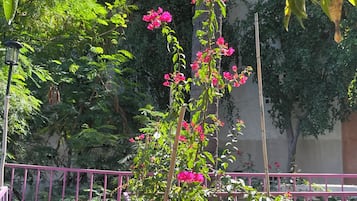 Jardim