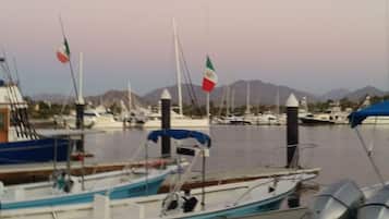 Pesca