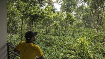 Quarto Duplo Deluxe | Varanda